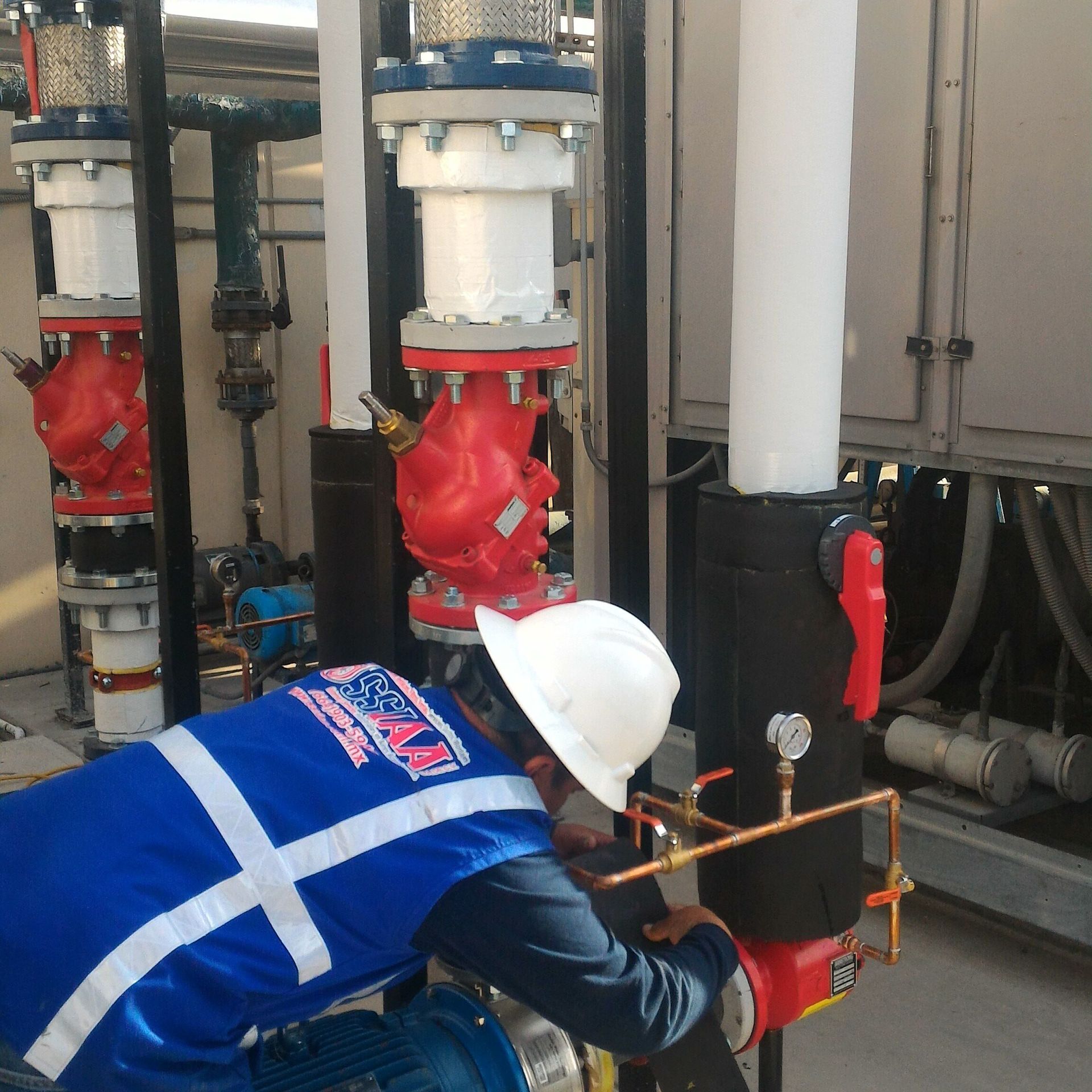 aplicaciones | Cuallimex